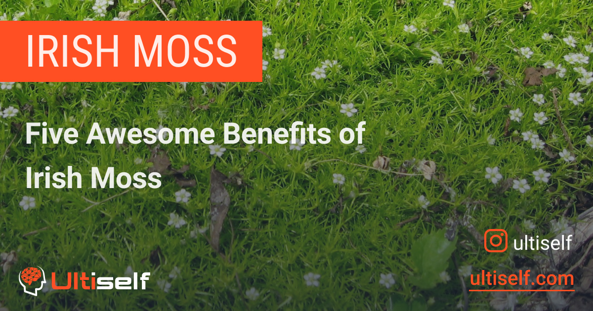 How Irish Moss Can Improve Your Life | Ultiself Habits