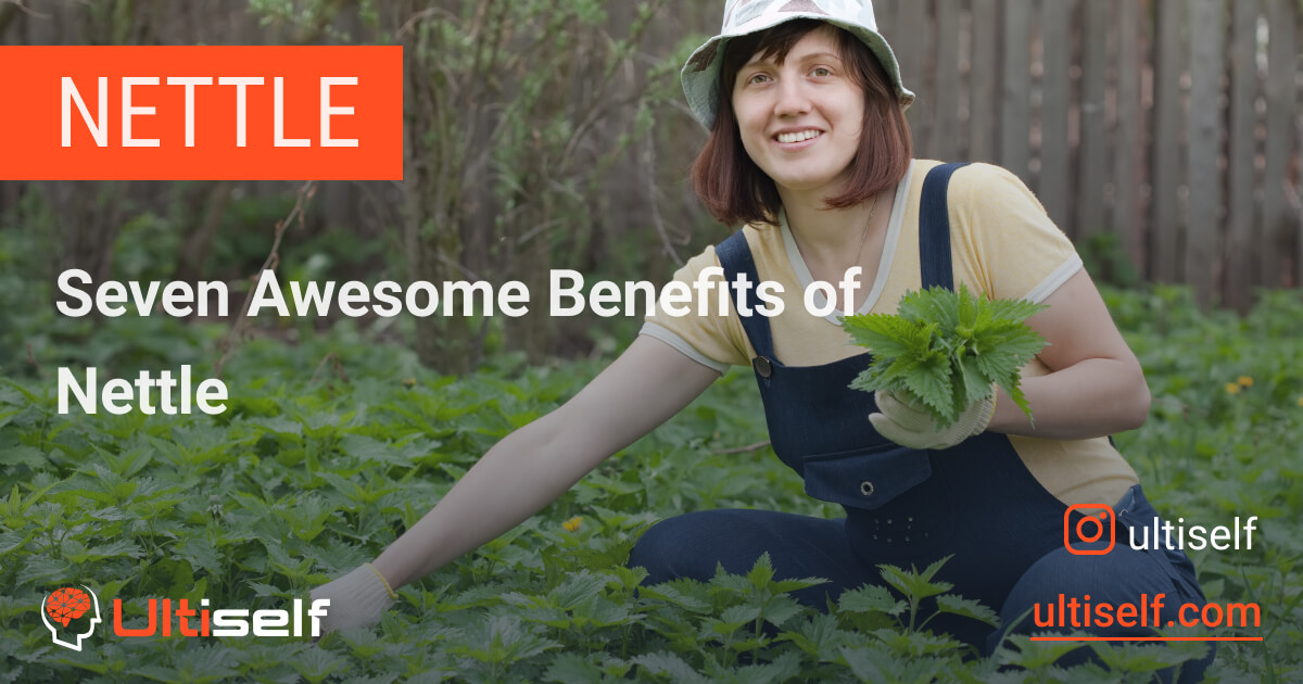 How Nettle Can Improve Your Life | Ultiself Habits